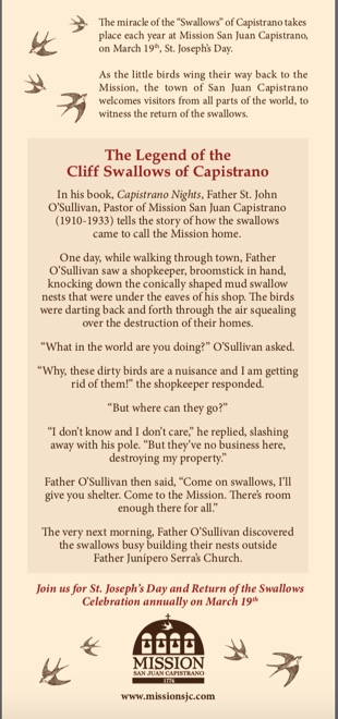 Celebrate the Miracle of the Swallows of Capistrano – You Know Neen